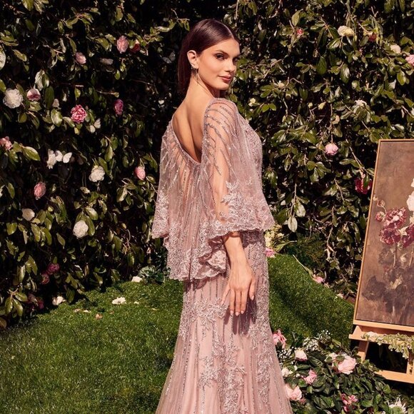 Cinderella | Dresses | New Formal Maxi Sheath Tulle Gown W Caplet ...